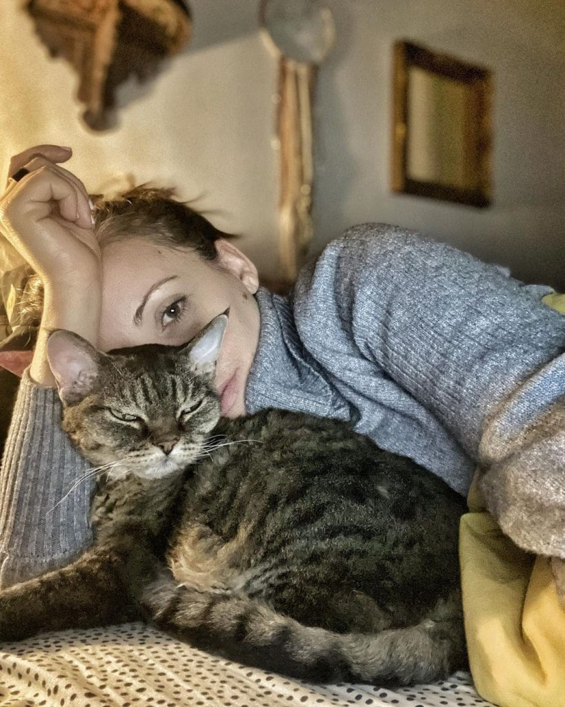 Unadoptable grumpy cat transforms into cuddle bug